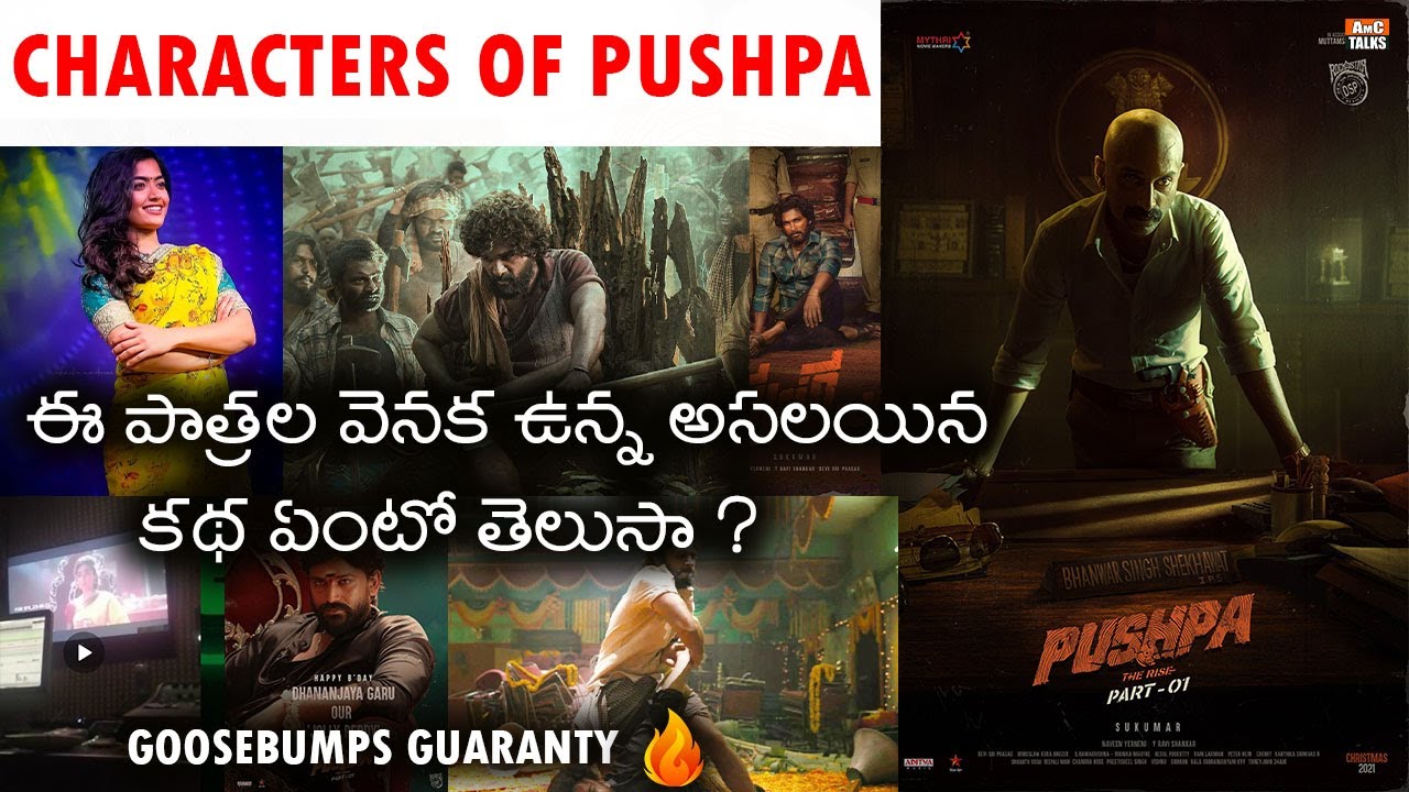Pushpa Story Behind The Characters | Characters Of Pushpa | Pushpa ...