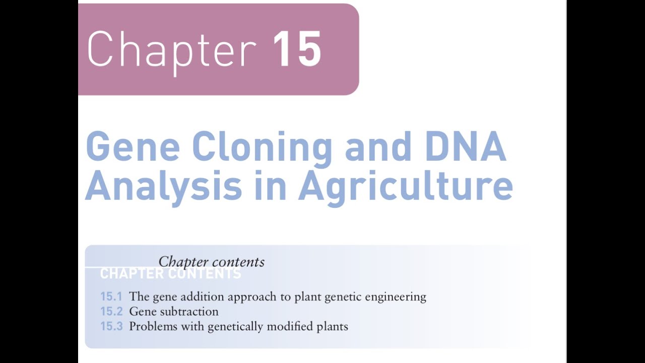 Chapter 15 - Gene Cloning and DNA Analysis in Agriculture - YouTube
