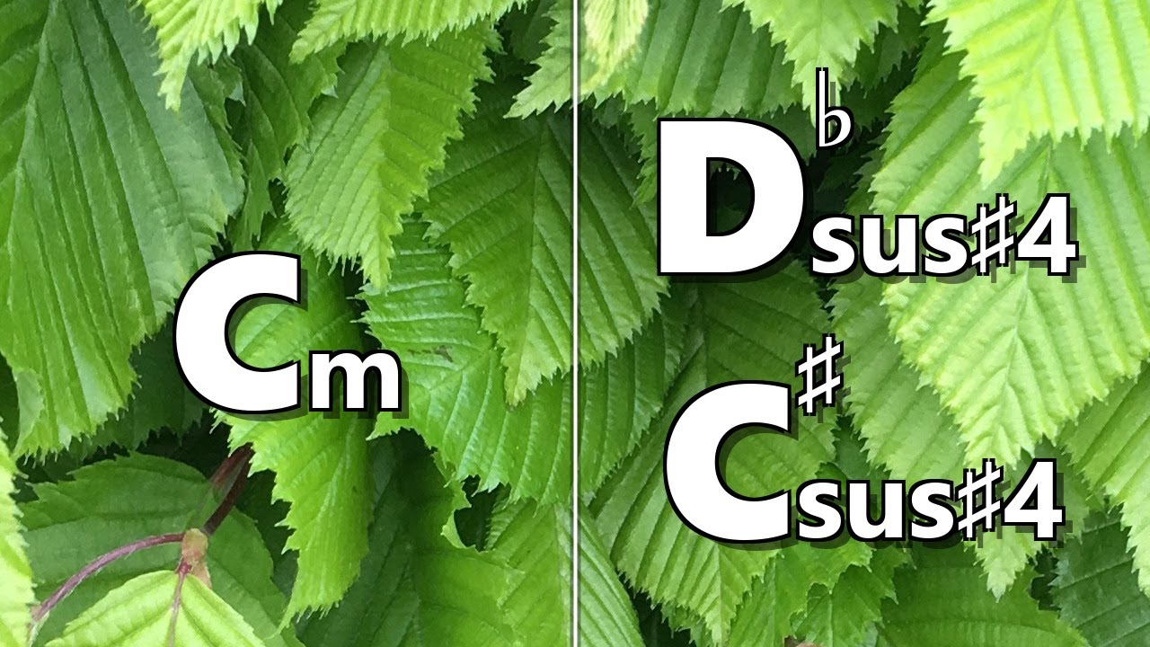 Cm to Dbsus #4 (C#sus #4) Backing Track - YouTube
