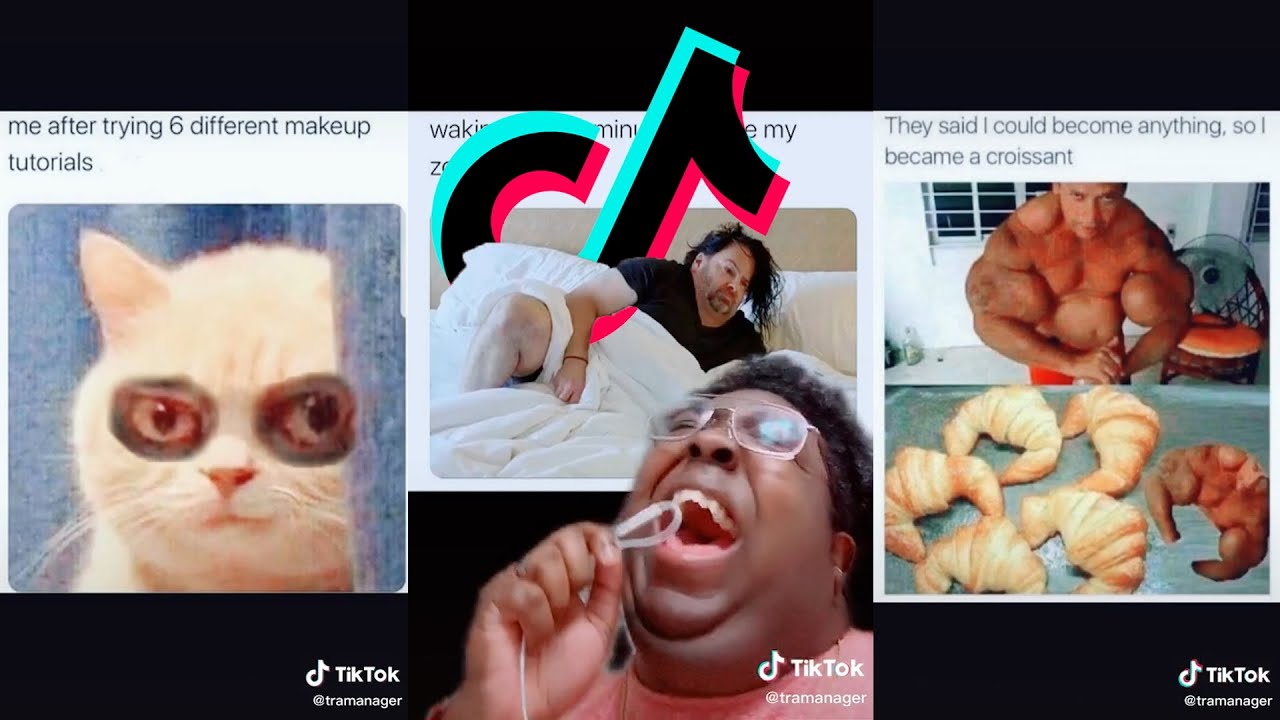 Try Not To Laugh 😂 TikTok Tramanager 😂 The Funniest MEMES You Have Ever ...