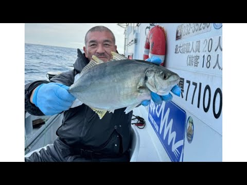 SHIMA-AJI TARGET FISHING | TRAVEL FOR TATEYAMA FISHING DECEMBER 2023 ...