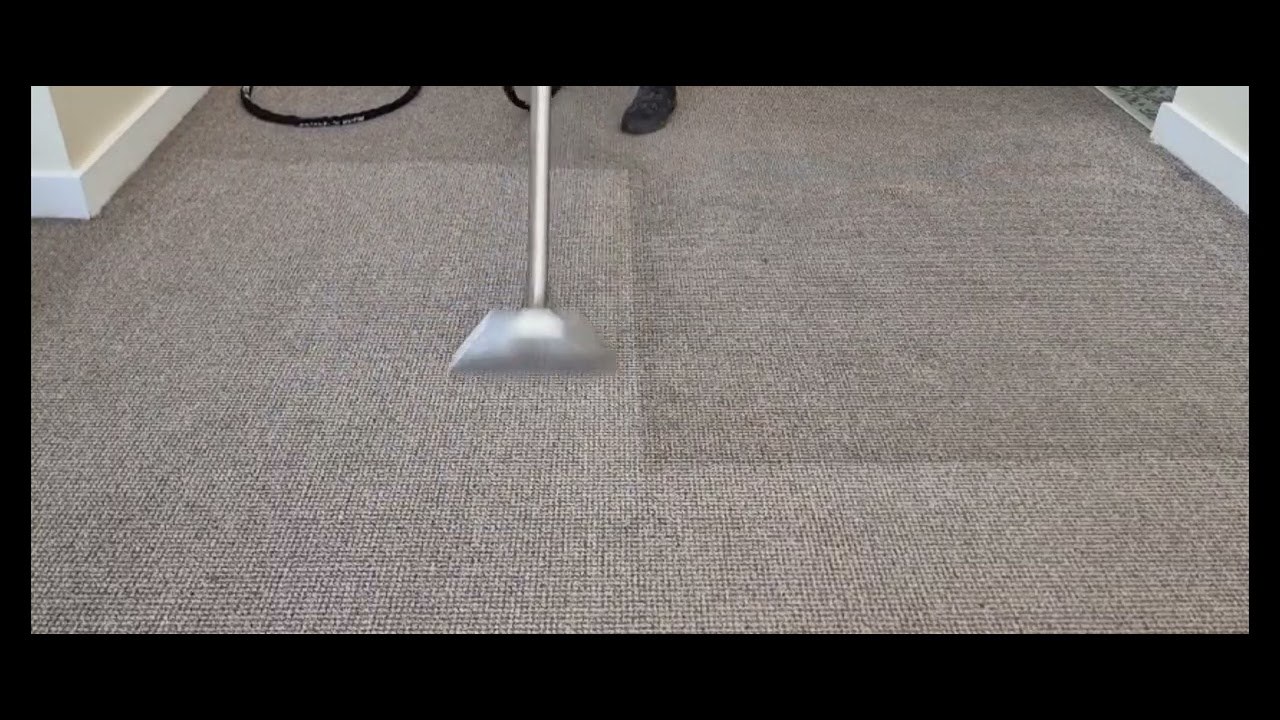 Professional Carpet Cleaning Bury Natalia Carpet Sheriff - YouTube