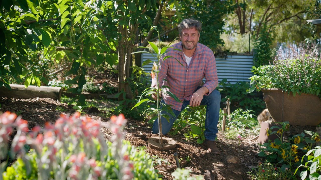 The Garden Gurus | Treerings - YouTube