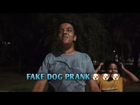 fake dog prank 🐶🐶#viral #viralvideo #video #fake #dog #prank # ...