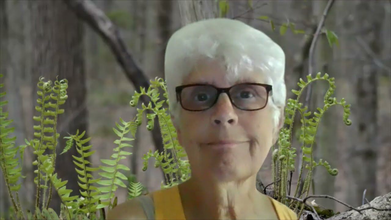 Old Lady - YouTube
