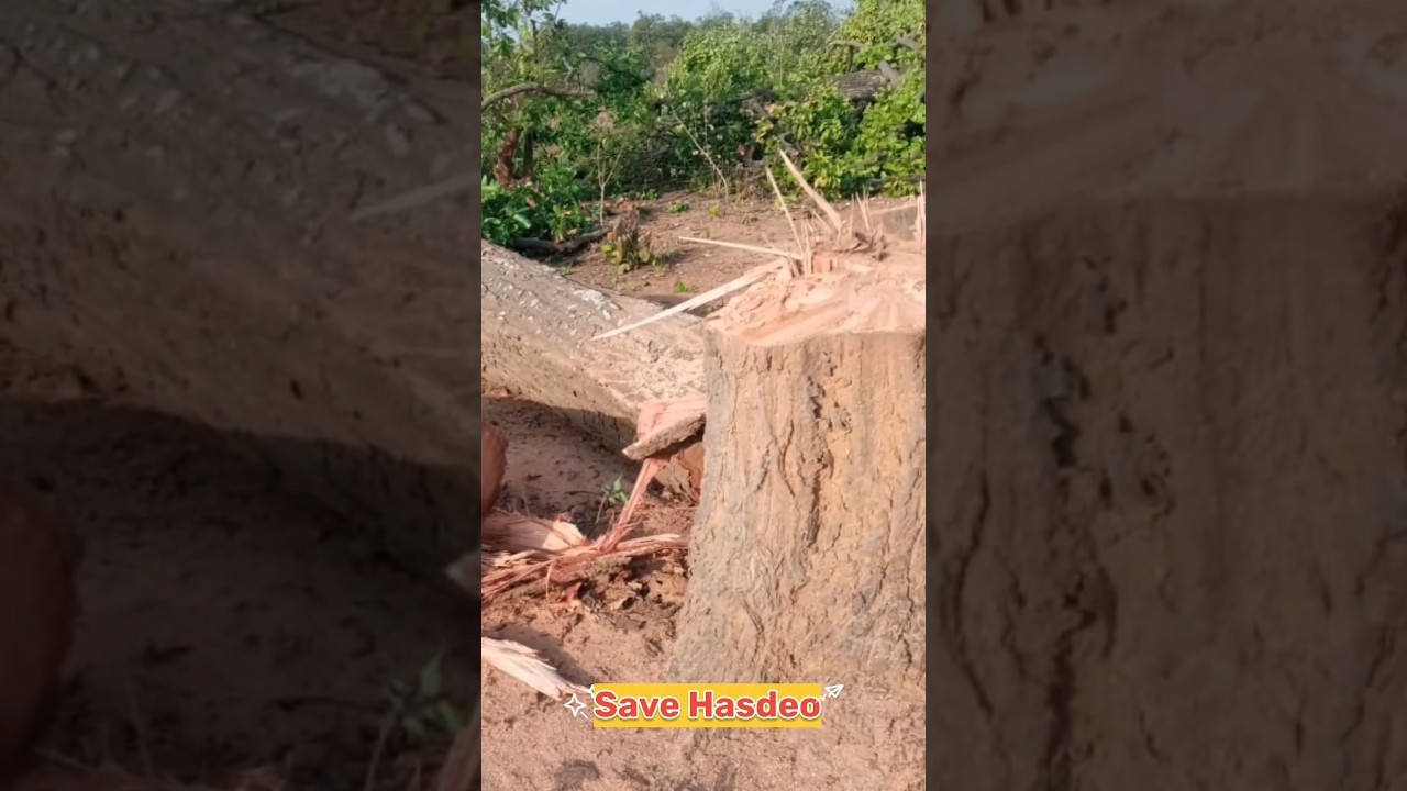 please save hasdeo🙏😭 - YouTube