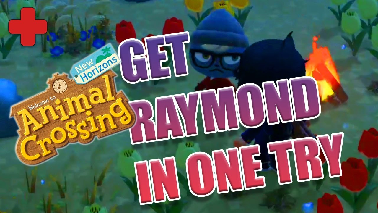 How to get RAYMOND in ONE TRY | Animal Crossing New Horizons Villager ...