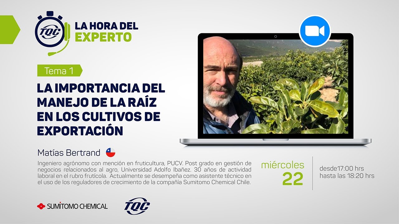 Importancia del manejo de la raíz en los cultivos de exportación ...