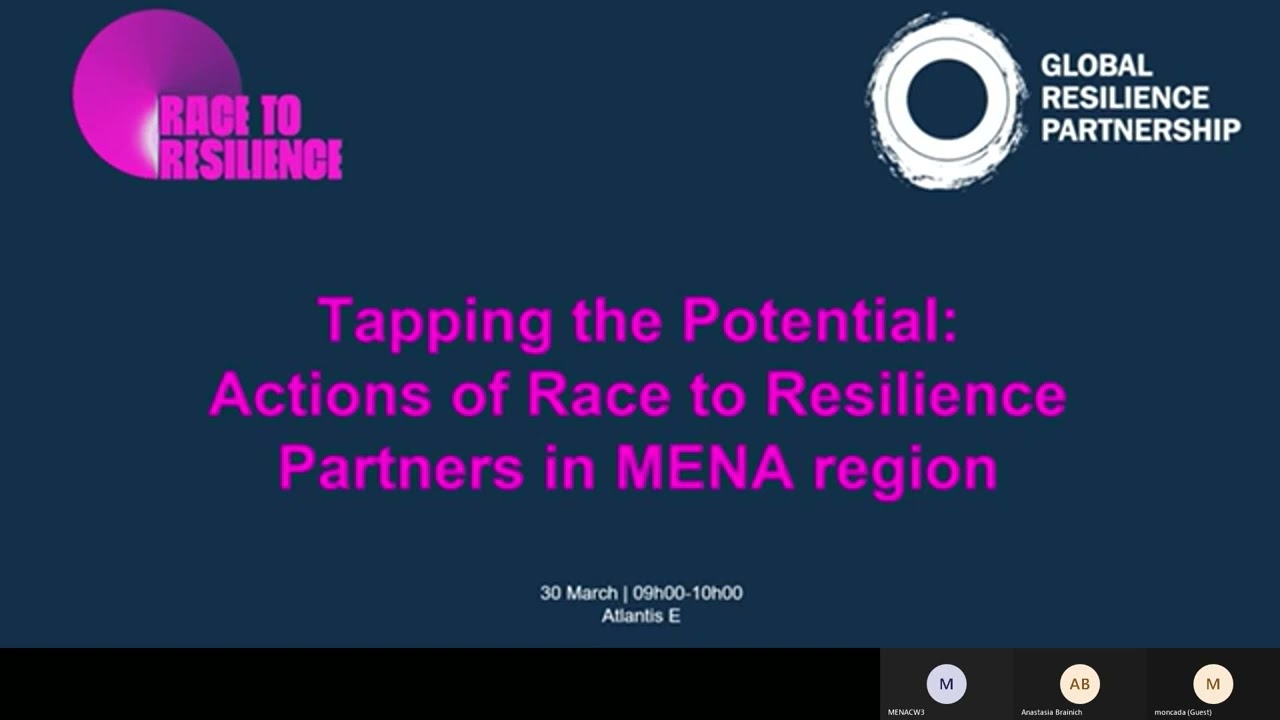 Tapping the Potential: Actions of Race to Resilience Partners in the ...