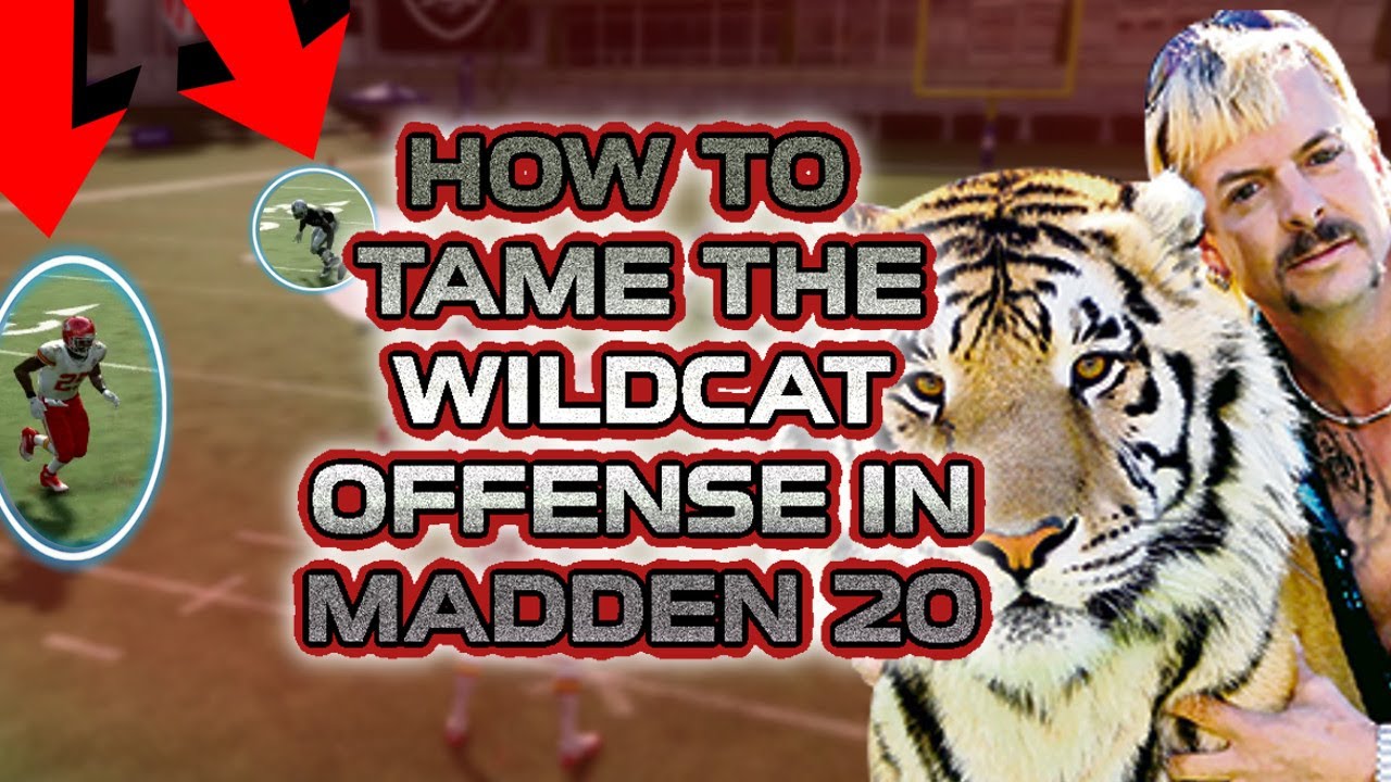 How to TAME The Wildcat in Madden 20 - Madden 20 Tips - YouTube