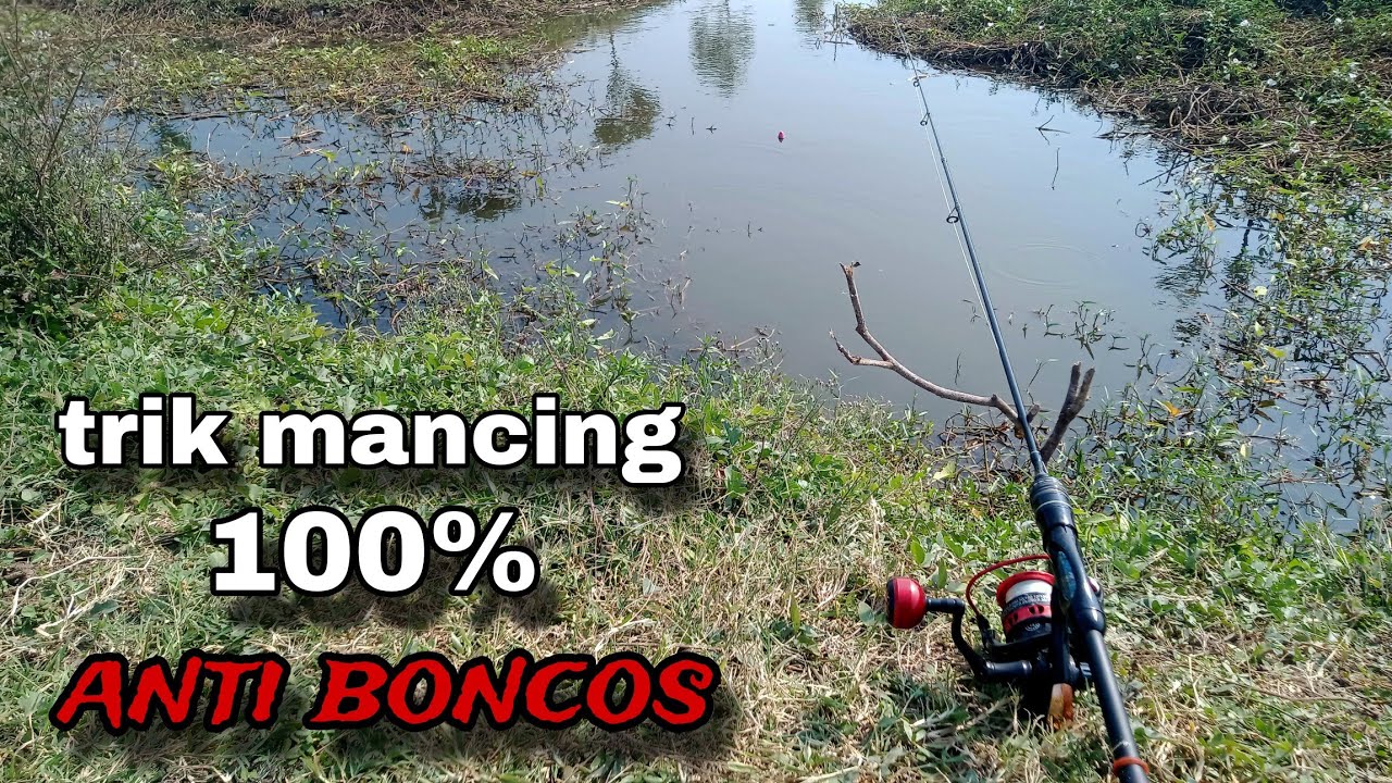 Trik Mancing Ampuh dengan Pancing Jaring - YouTube