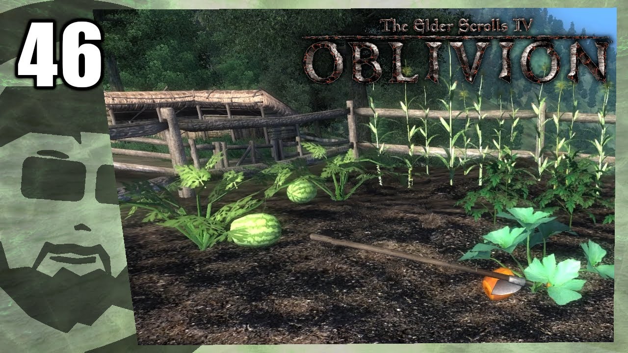 An invisible problem in Aleswell | Elder Scrolls IV: Oblivion | Part 46 - YouTube