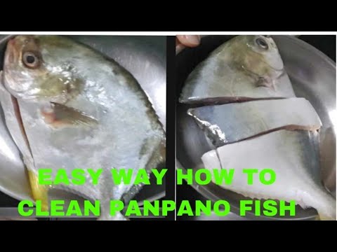 ASMR: EASY WAY HOW TO CLEAN & CUT PANPANO FISH BEFORE COOKING # ...