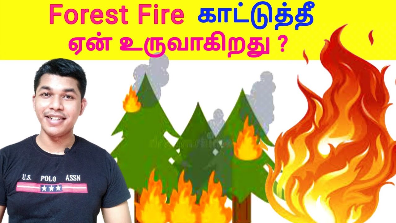 காட்டுத்தீ ஏற்பட காரணம் என்ன ? How forest fire occurs ? How to prevent ...