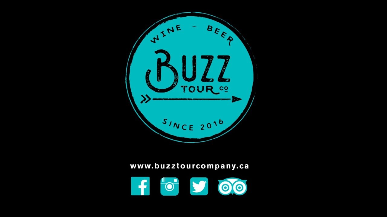 Buzz Tour Company Marketing Video - YouTube