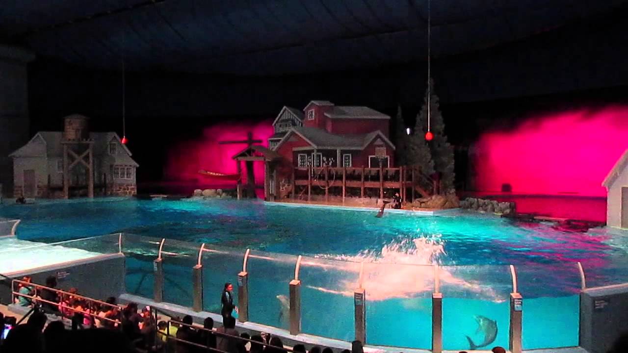 Day 53 | Ninja Turtles & The ZOO! - YouTube