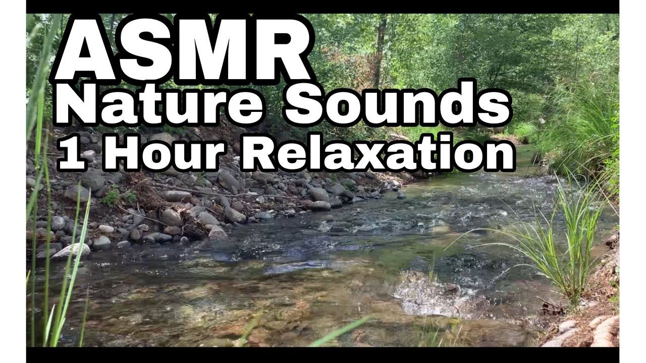 1 Hour ASMR - Nature Sounds for Relaxation & More - YouTube