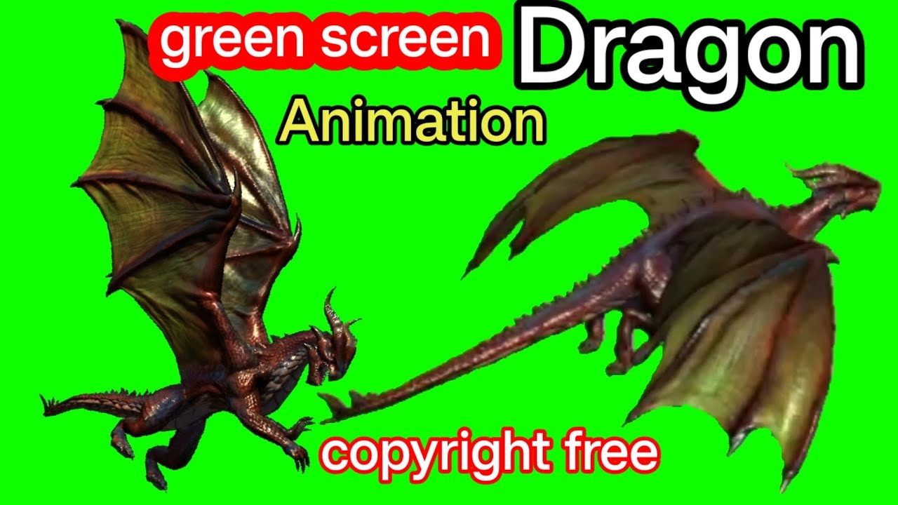 Green Screen Dragon Animation copyright free - YouTube