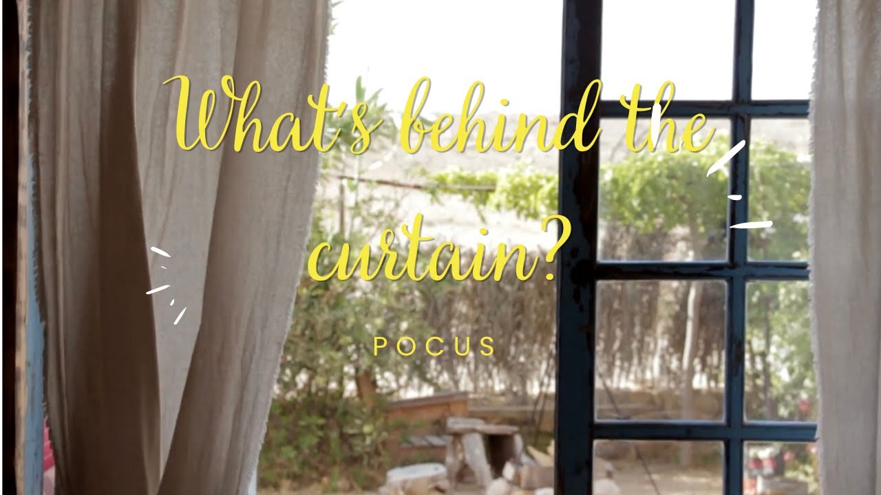 POCUS Curtain Sign - YouTube
