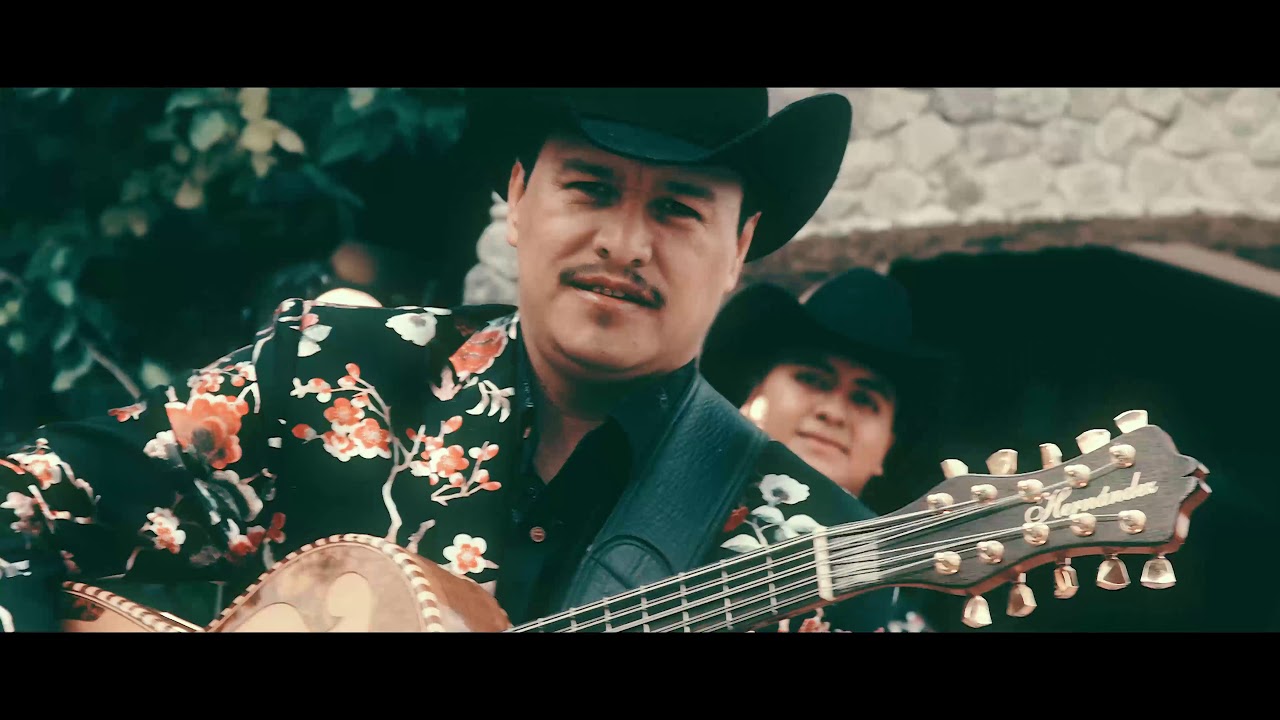 Lobos Del Norte - Sed (Vídeo Oficial 2020) - YouTube