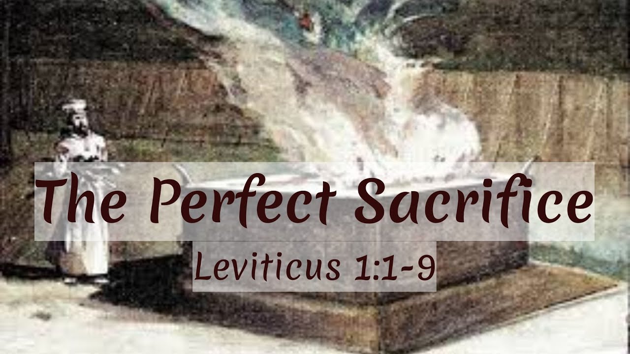 The Perfect Sacrifice (Lev 1:1-9) - YouTube