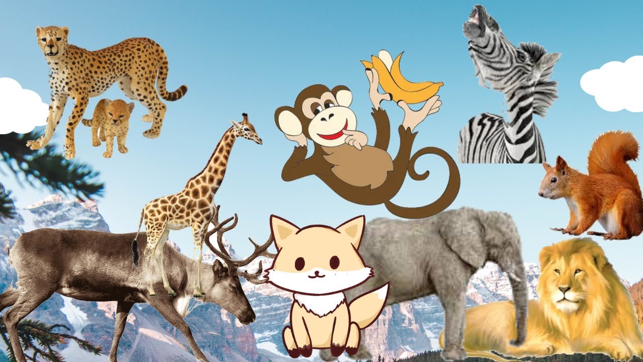 10 Most Interesting Wild Animals With Sounds - YouTube