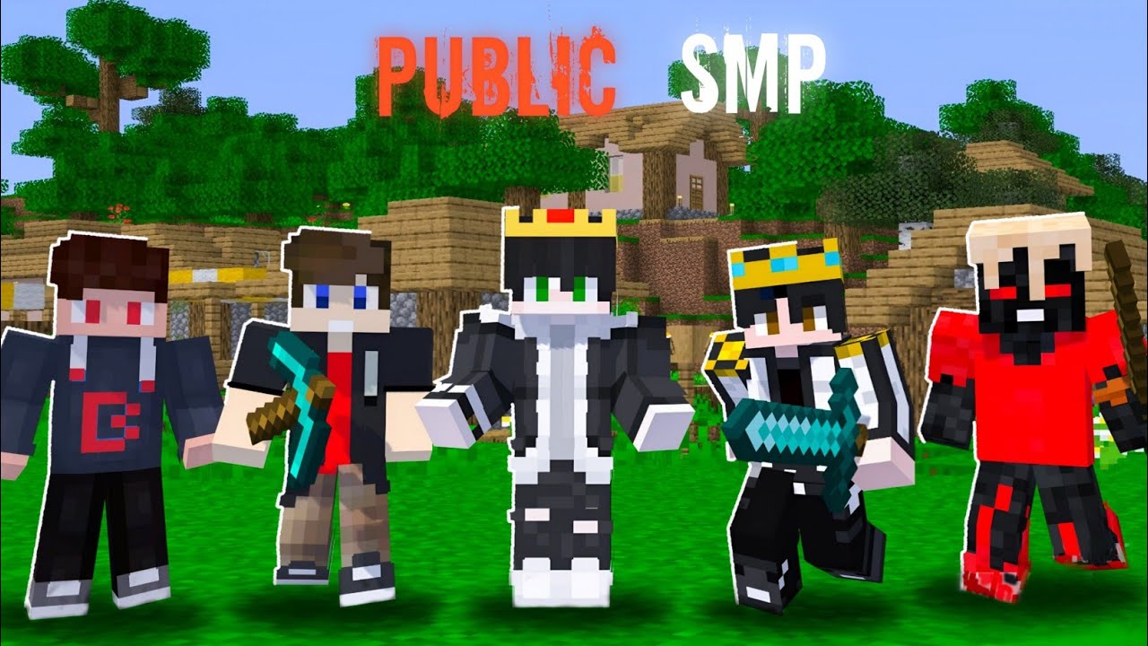 Minecraft Crazy Public SMP | Ownership Voting In Fun SMP Will Be ...
