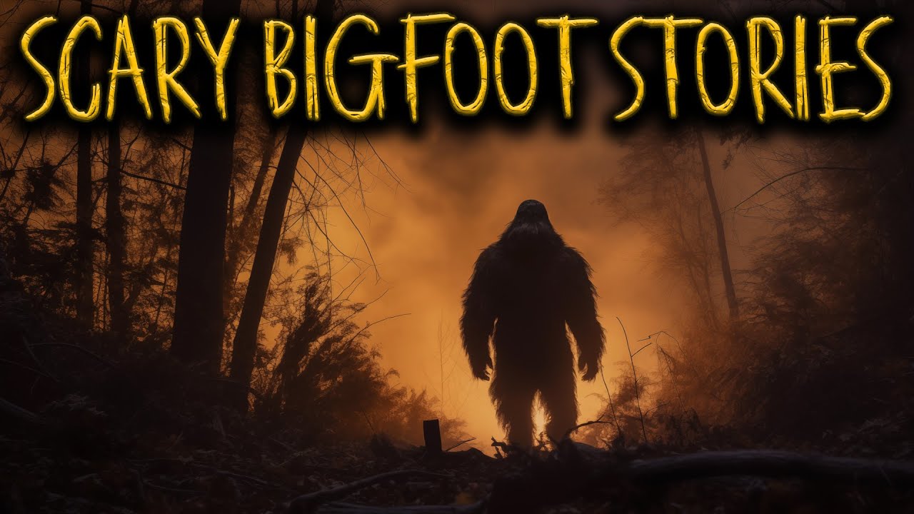 6 Terrifying BIGFOOT Stories That Will Give You Chills | Sasquatch ...