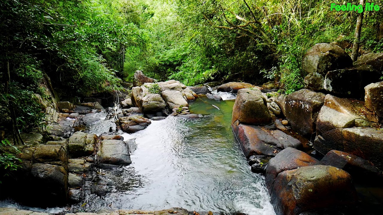 Relaxing Music For Better Sleeping Included The Stream Flowing and ...