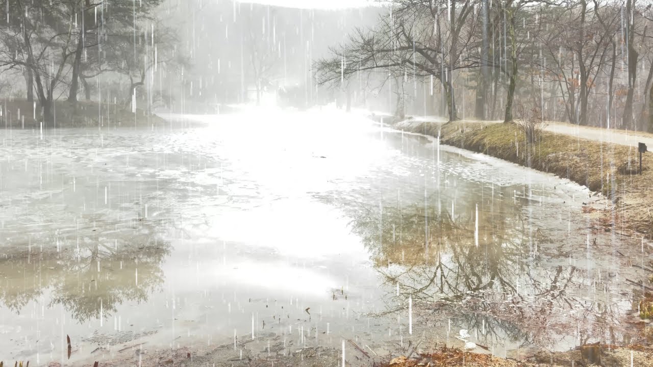 Foggy day with heavy rain on a partially frozen pond. Black screen ...