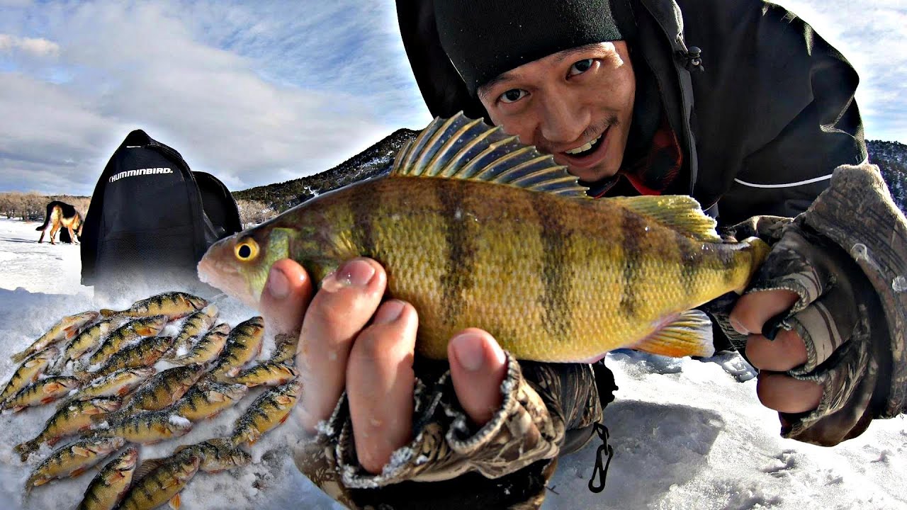 Big Perch Lakes