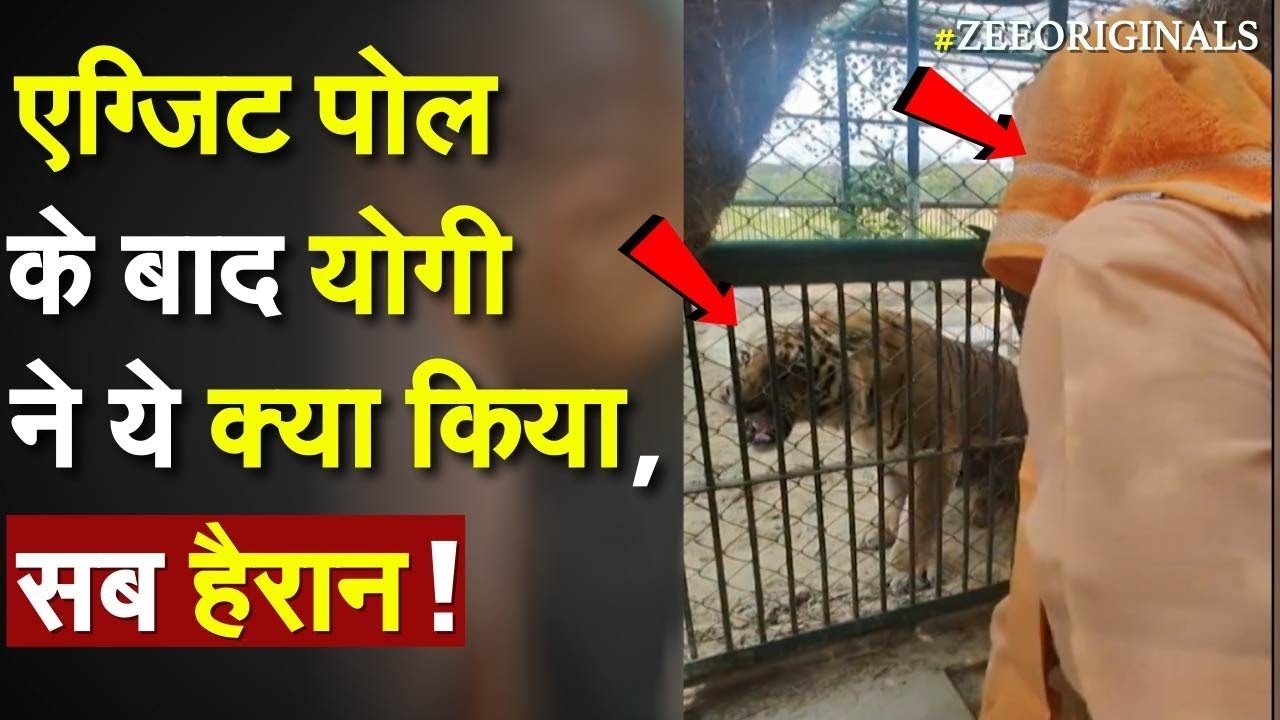 Yogi Tiger Viral Video: Exit Poll के बाद CM Yogi ने ये क्या किया, सब ...