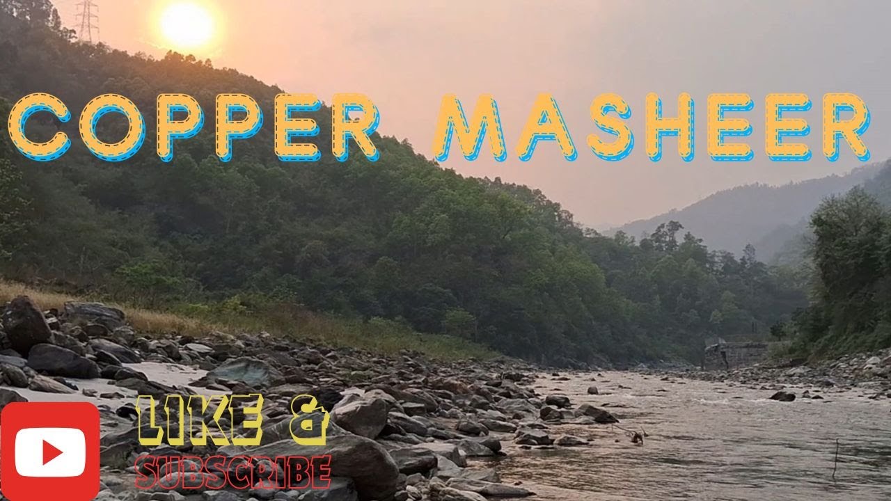 Copper Masheer Fishing at Great Rangeet with Spinner - YouTube