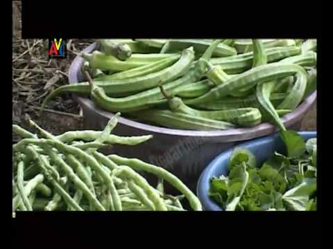 Api Wawamu Rata Nagamu - YouTube