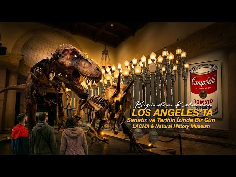 LOS ANGELES'TA SANATIN VE TARİHİN İZİNDE BİR GÜN I LACMA & Natural History Museum I VLOG