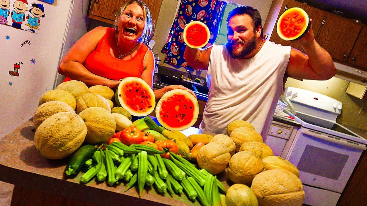 This Is Crazy Homestead Update | Bountiful Harvest - YouTube