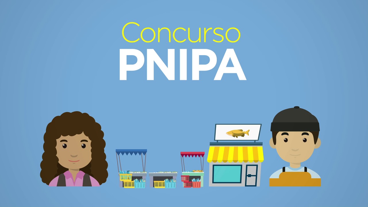 ¿Qué es el concurso PNIPA? - YouTube