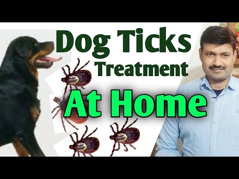 How To Remove Dog Ticks In Hindi