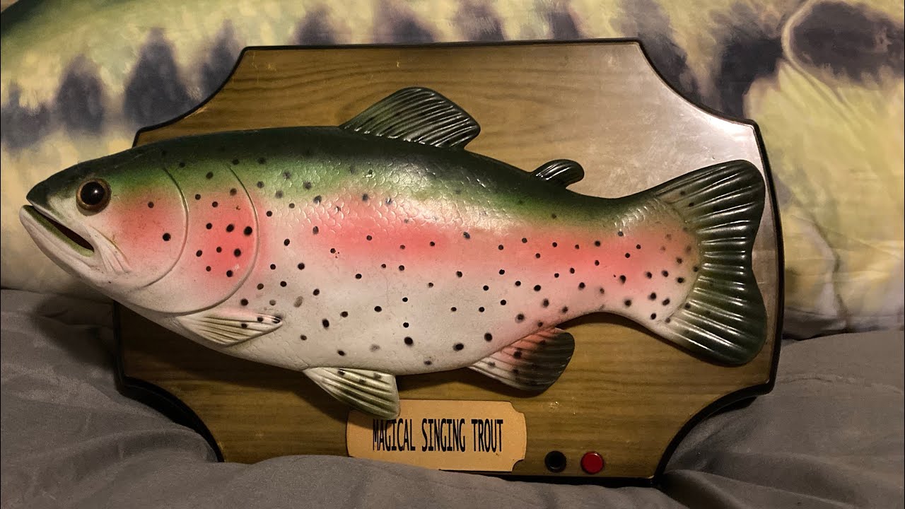 Magical singing trout - YouTube