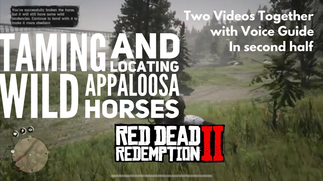 🗣 Red Dead Redemption 2: Locating and Taming Wild Appaloosa Horse - YouTube