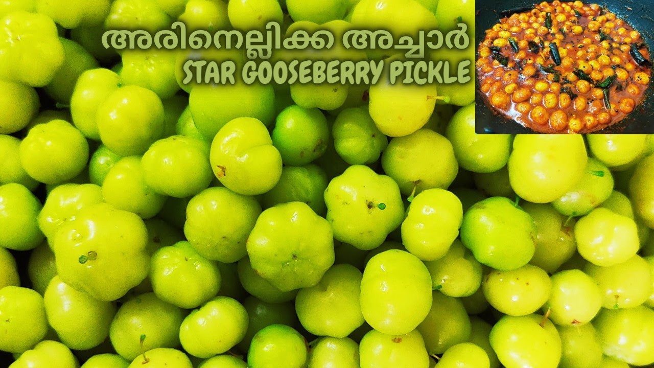 Nellikka Achar Malayalam Recipe | Arinellikka Achar Kerala Recipe ...