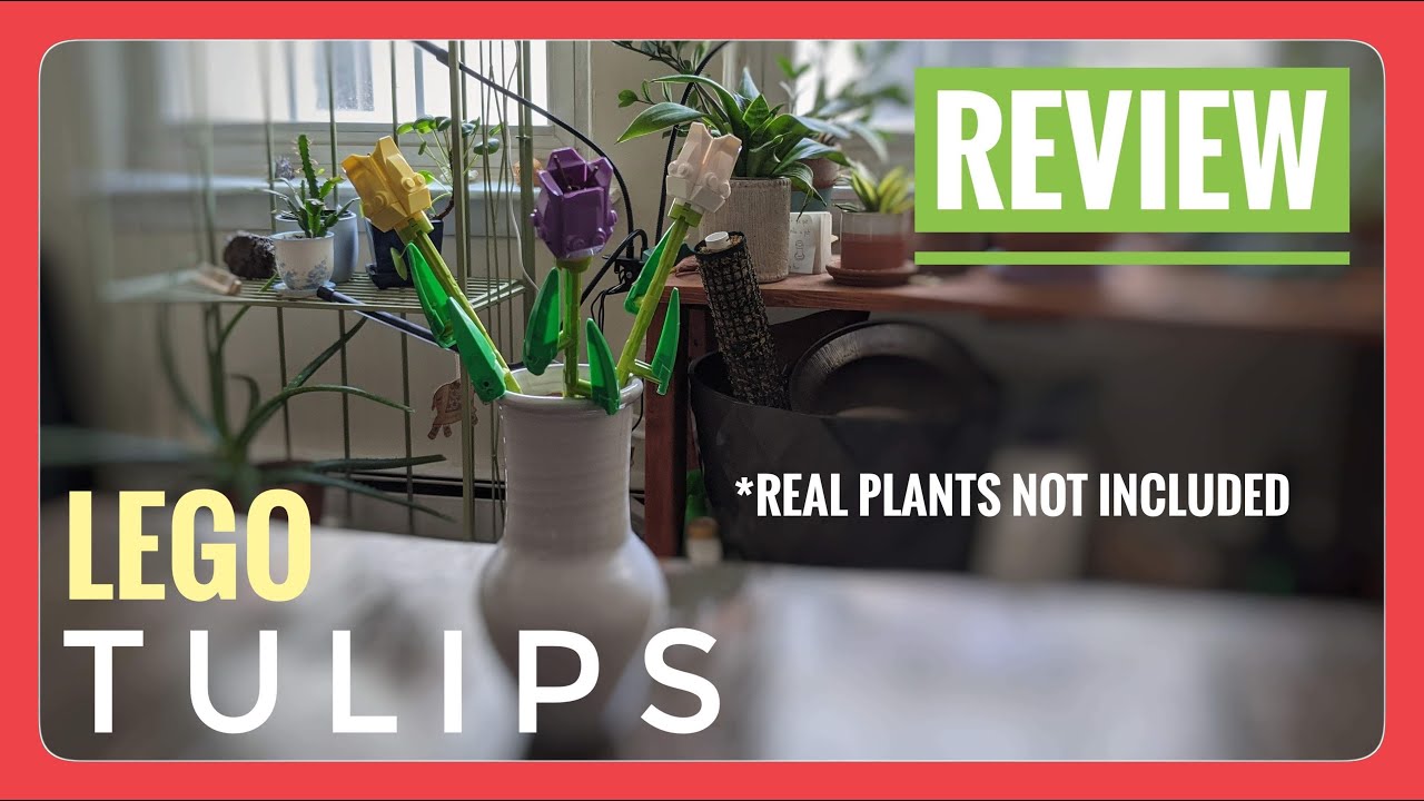 Lego Flowers? Tulips [Review] Set 40461 - YouTube