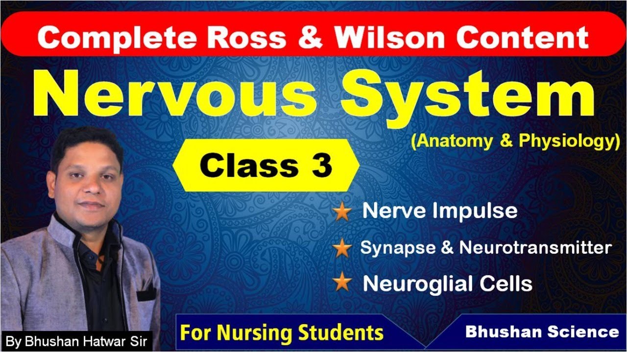 PART : 3 Nervous System | Nursing Online Classes | ROSS & WILSON HAP ...