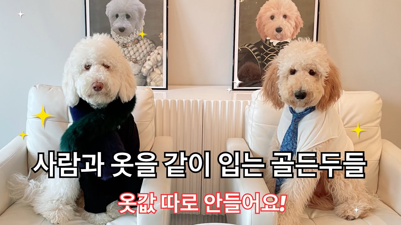 골든두들 사람옷입기 Youtube