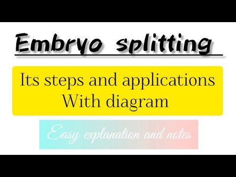 Embryo splitting || Animal breeding. - YouTube