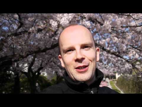Learn Japanese: Should I get a Japanese teacher or not?