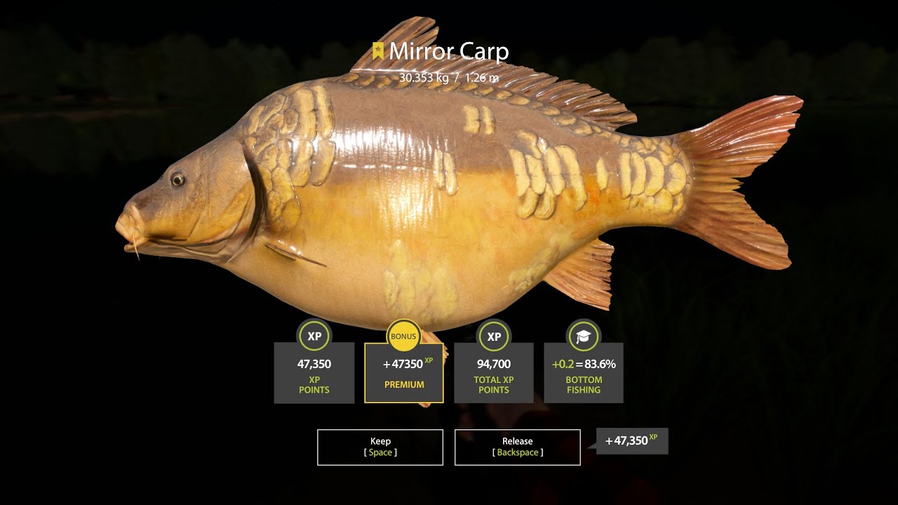 RF4 Trophy Mirror Carp on Amber Lake. (1440p) - YouTube