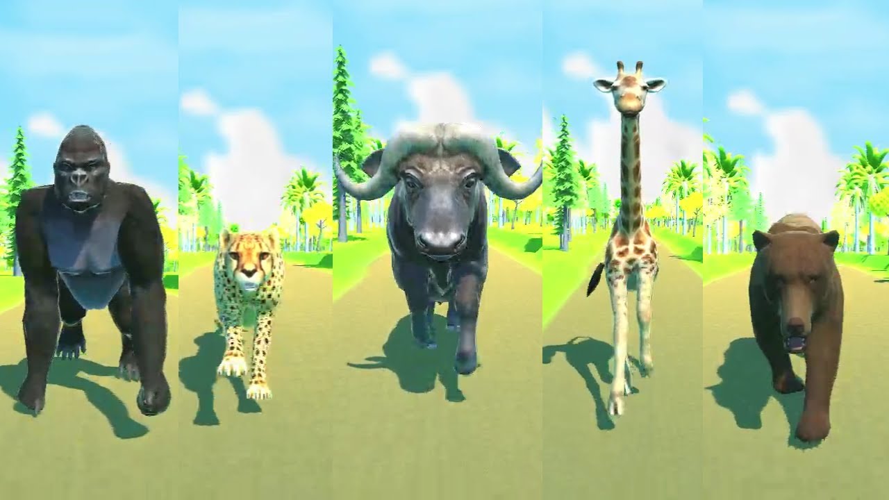 Wild Forest Animals Race Competition | Giraffe, Cheetah, Buffalo ...