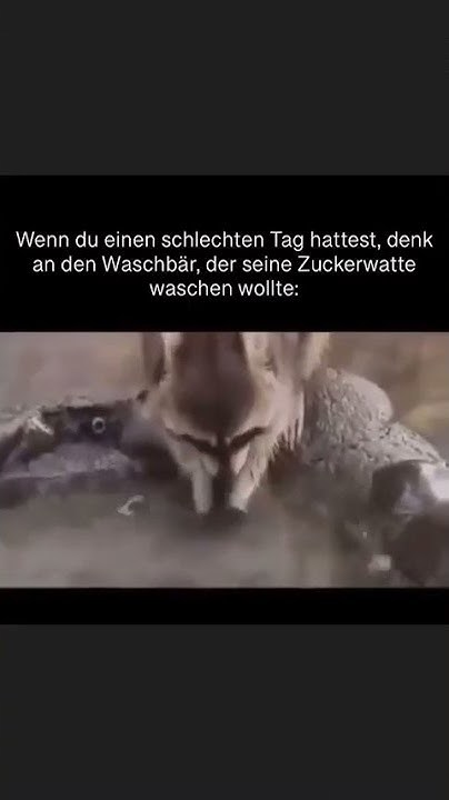 Wenn du einen schlechten Tag hast... #shorts - YouTube