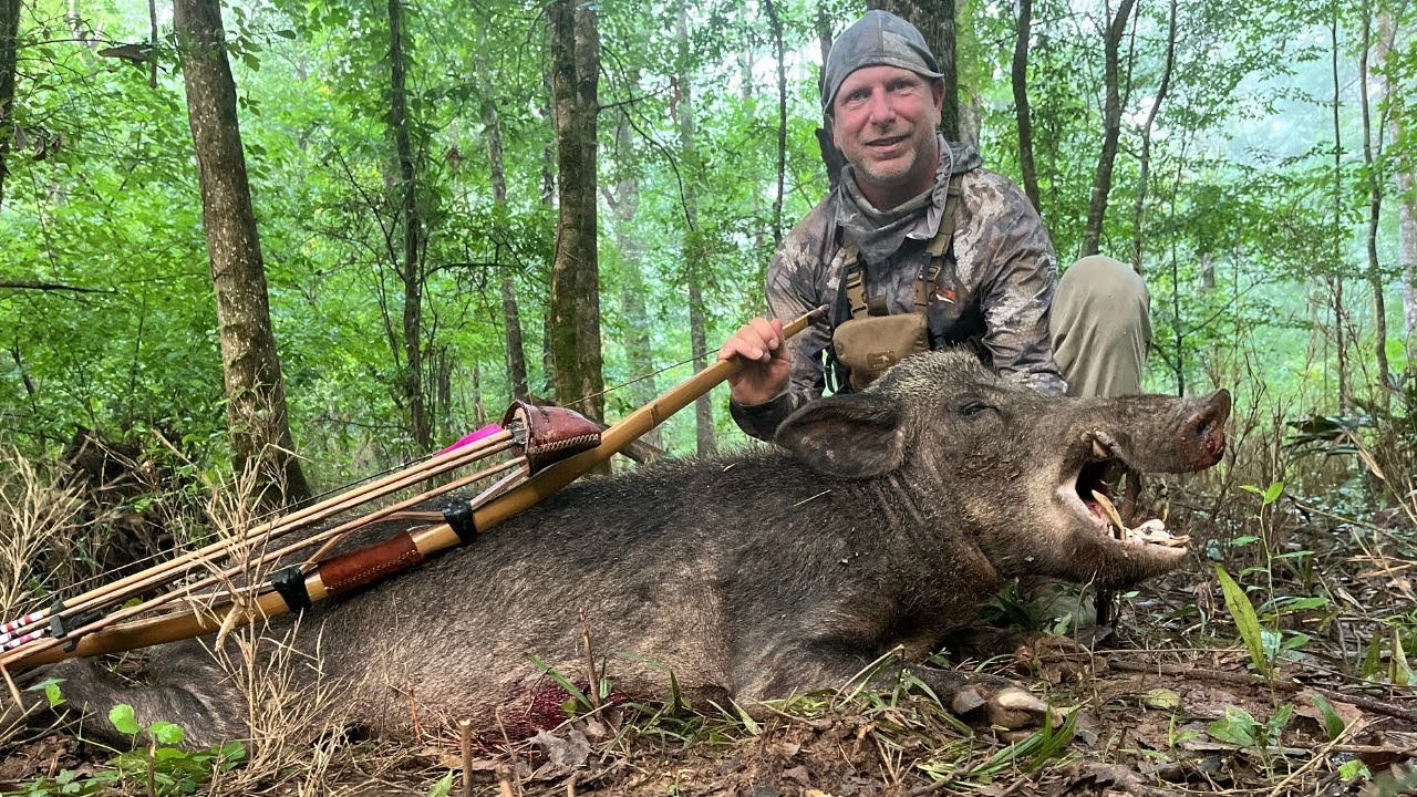 BIG BOAR DOWN WITH THE DAN SPIER MEMORIAL BOW - YouTube